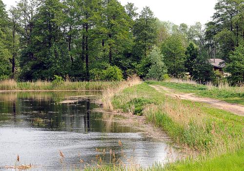 The Battle of Raszyn (1809) project